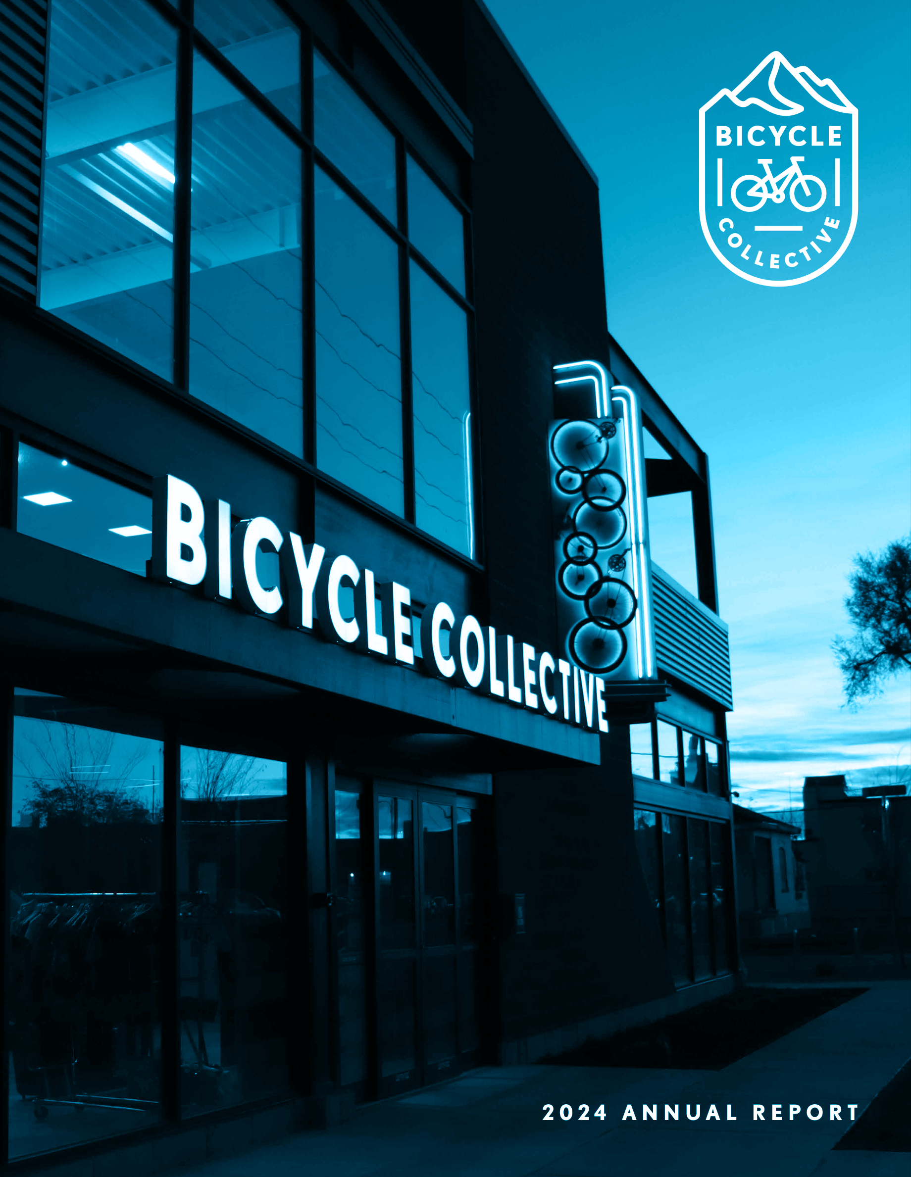 GT Ricochet, Mountain Bike, 43cm